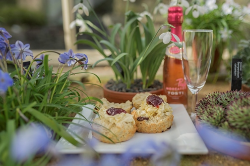 30 Superb Cream Teas in Devon | Cream Tea Guide