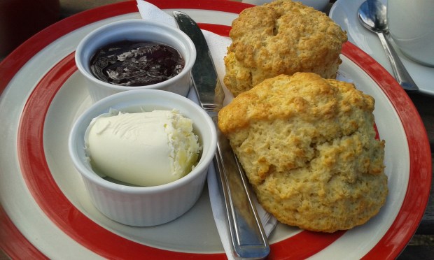 30 Superb Cream Teas in Devon | Cream Tea Guide