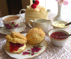 30 Superb Cream Teas in Devon | Cream Tea Guide