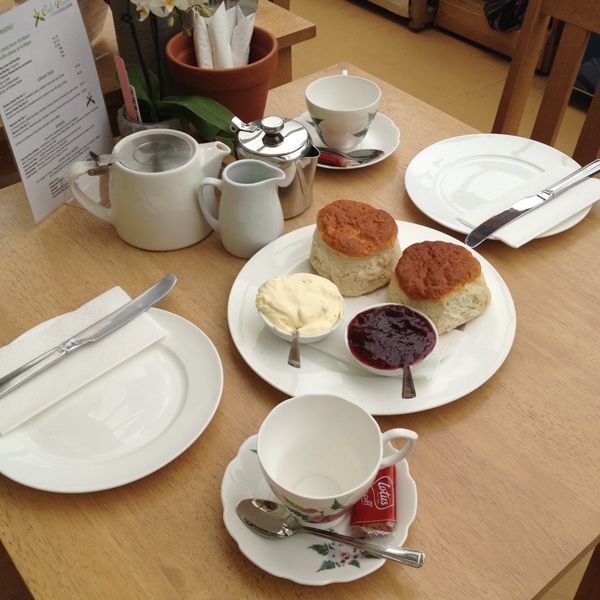 30 Superb Cream Teas in Devon | Cream Tea Guide