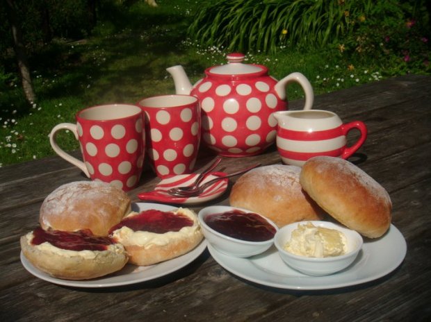 30 Superb Cream Teas in Devon | Cream Tea Guide